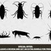 Cockroach Svg, Svg Files for Cricut, Insect Svg, Roach Svg, Silhouette ...