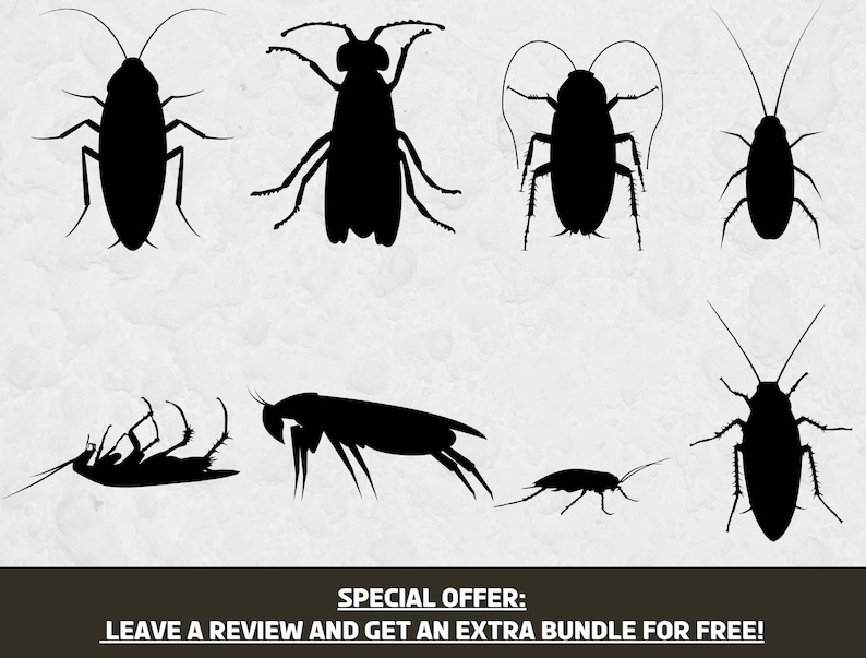 Cockroach Svg, Svg Files for Cricut, Insect Svg, Roach Svg, Silhouette ...