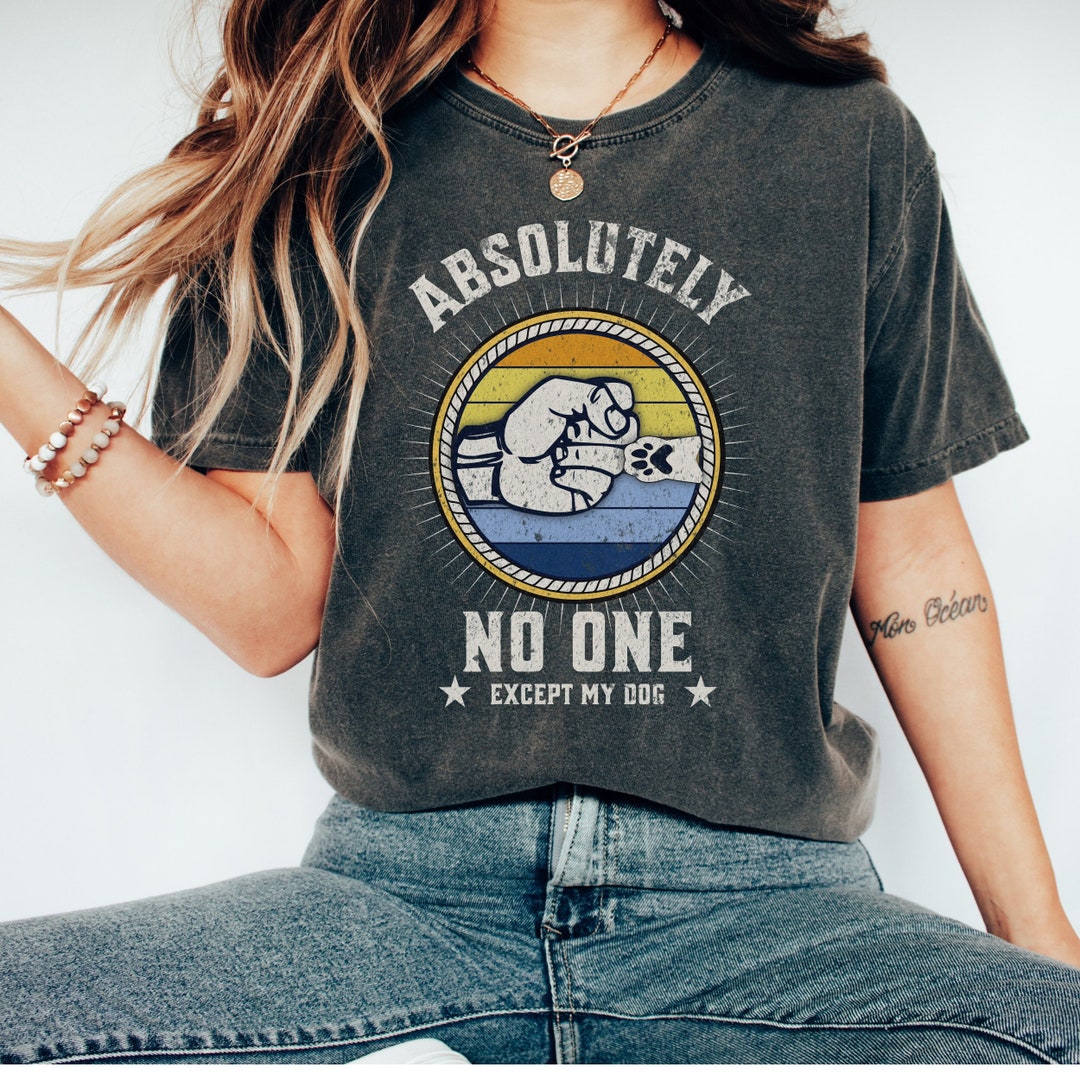 Subtle Aro Ace Pride Shirt Aroace Flag Comfort Colors - Etsy