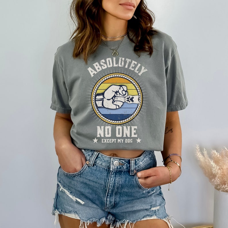 Subtle Aro Ace Pride Shirt Aroace Flag Comfort Colors - Etsy