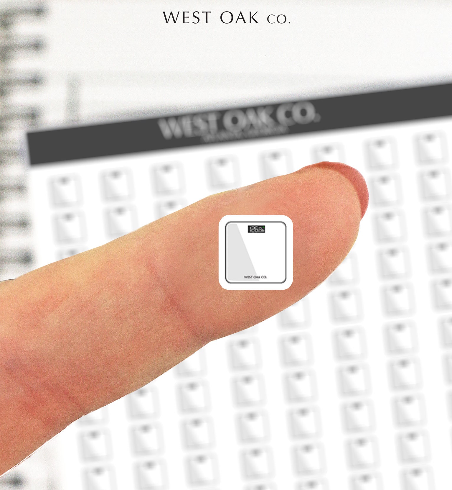 Scale Sticker Set Weight Scale Sticker Kit Sticker for - Etsy