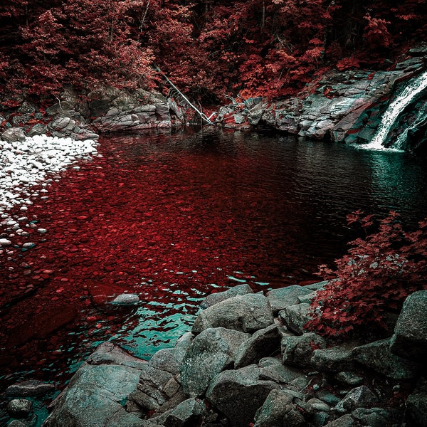 Blood Pool - Etsy