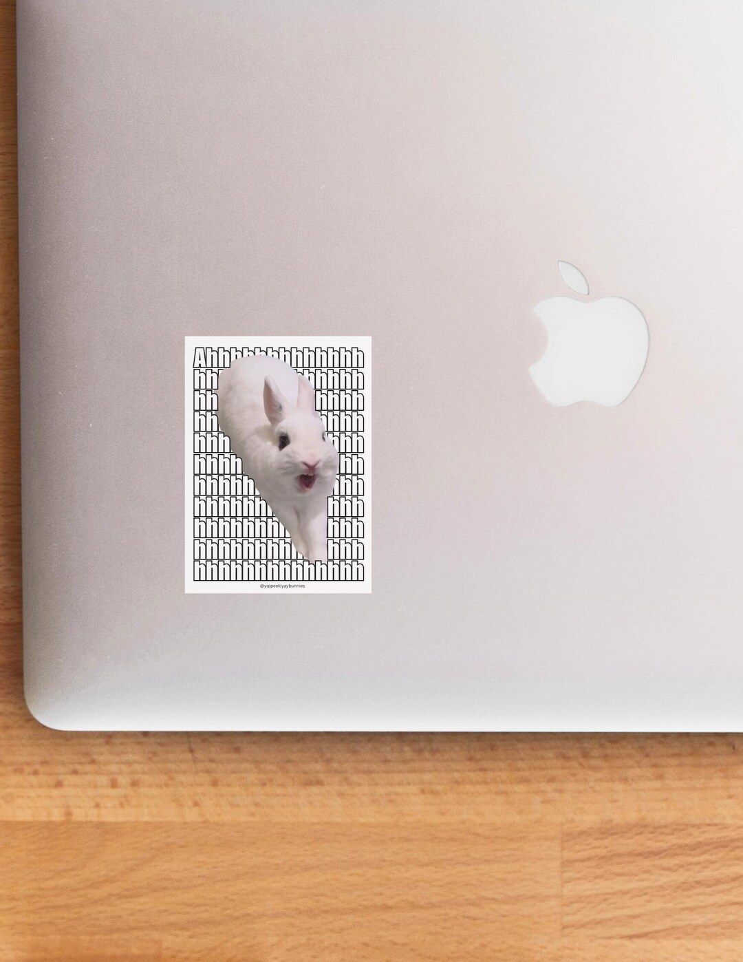 Funny Bunny Yawning Dwarf Hotot Screaming Rabbit Sticker - Etsy