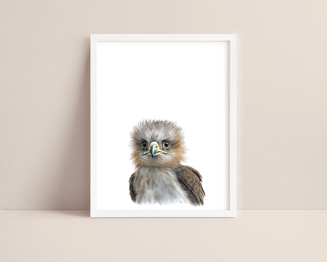 Bald Eagle Art - Baby Eagle Nursery Print - Eagle Print - Eagle ...