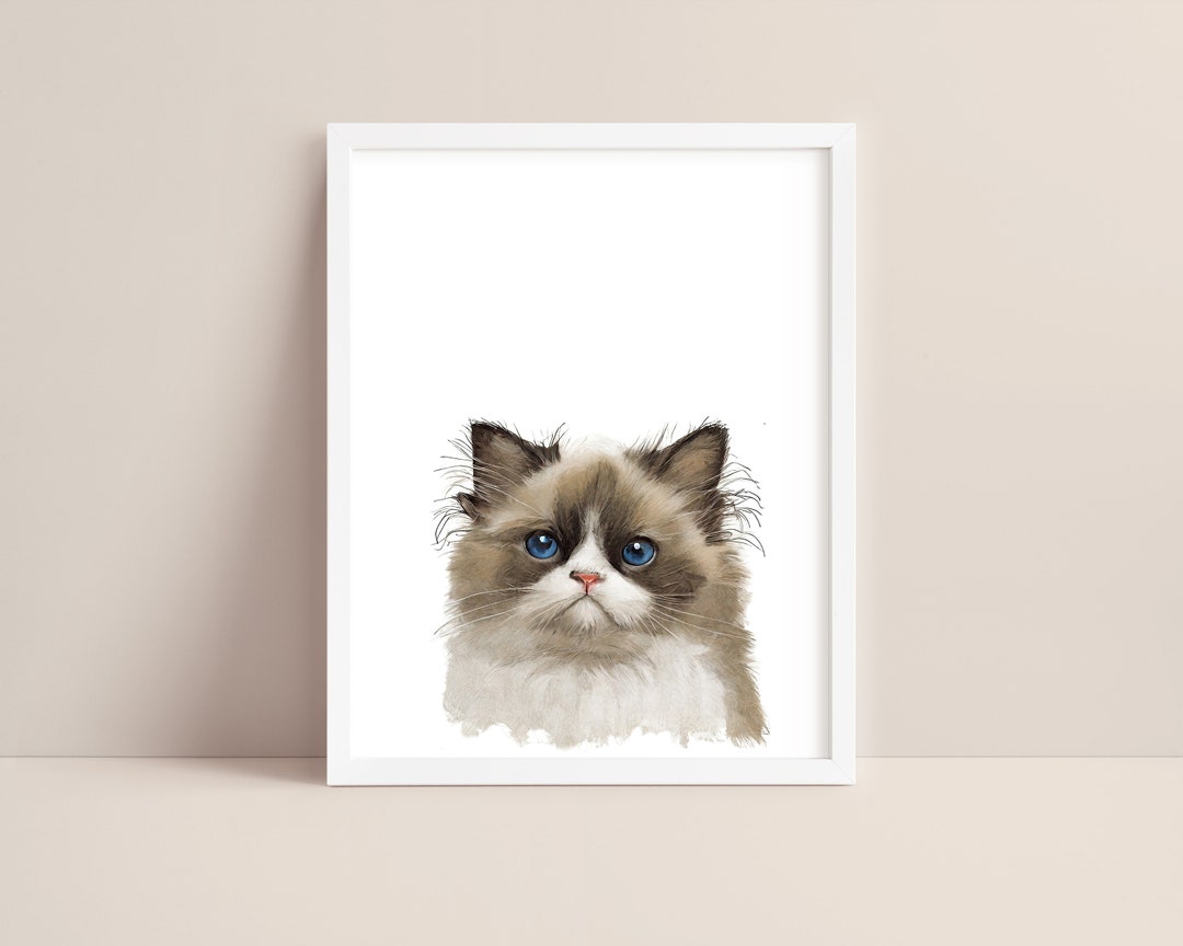 Ragdoll Cat Art - Ragdoll Kitten Nursery Print - Baby Cat Print ...