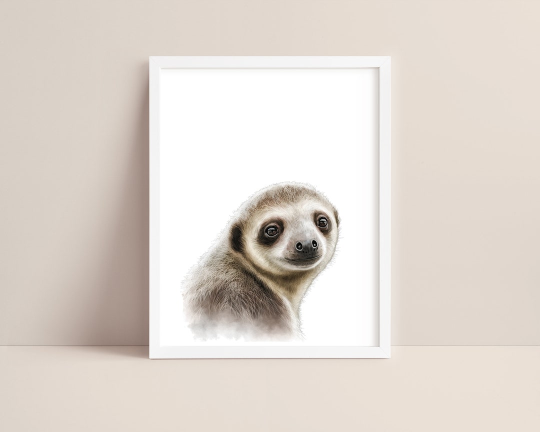 Sloth Art - Baby Sloth Nursery Print - Baby Animal Print - Sloth ...