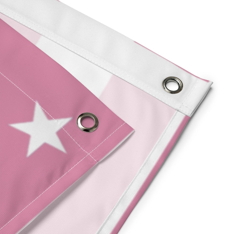 SZA USA Flag Pink America Flag Tapestry Wall Decor 3x5 F Tapestry for ...