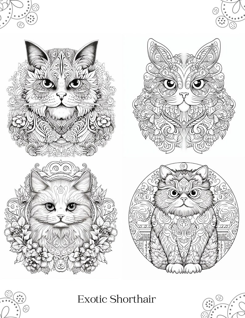 Mandala Cat 50 Breeds Mandala Coloring Book |PDF| Printable Coloring ...