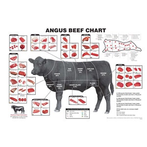 Angus Beef Chart Printable Poster Beef Cuts Diagram Cooking - Etsy