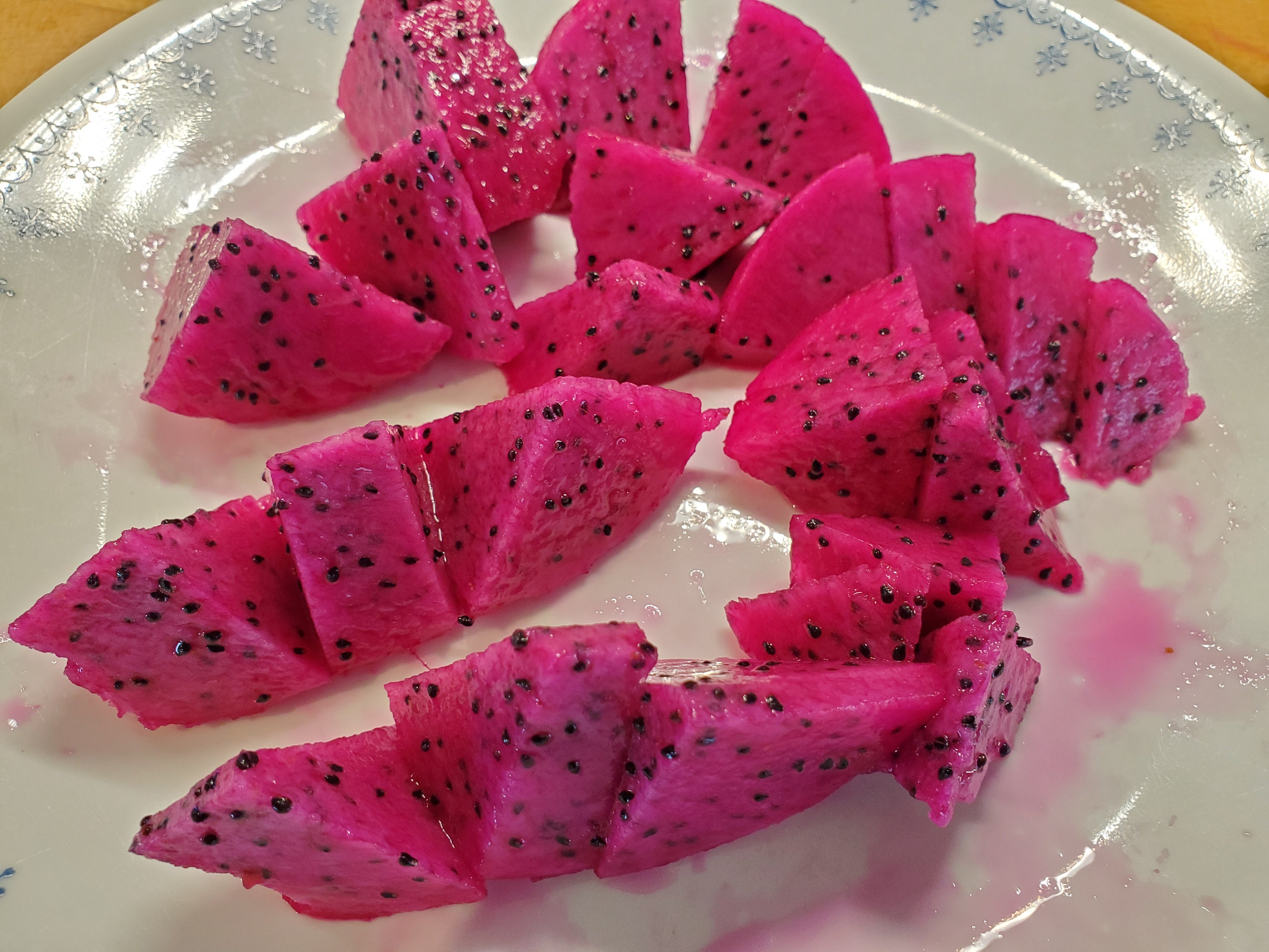 Thailand Red Dragon Fruit Cuttings - Etsy