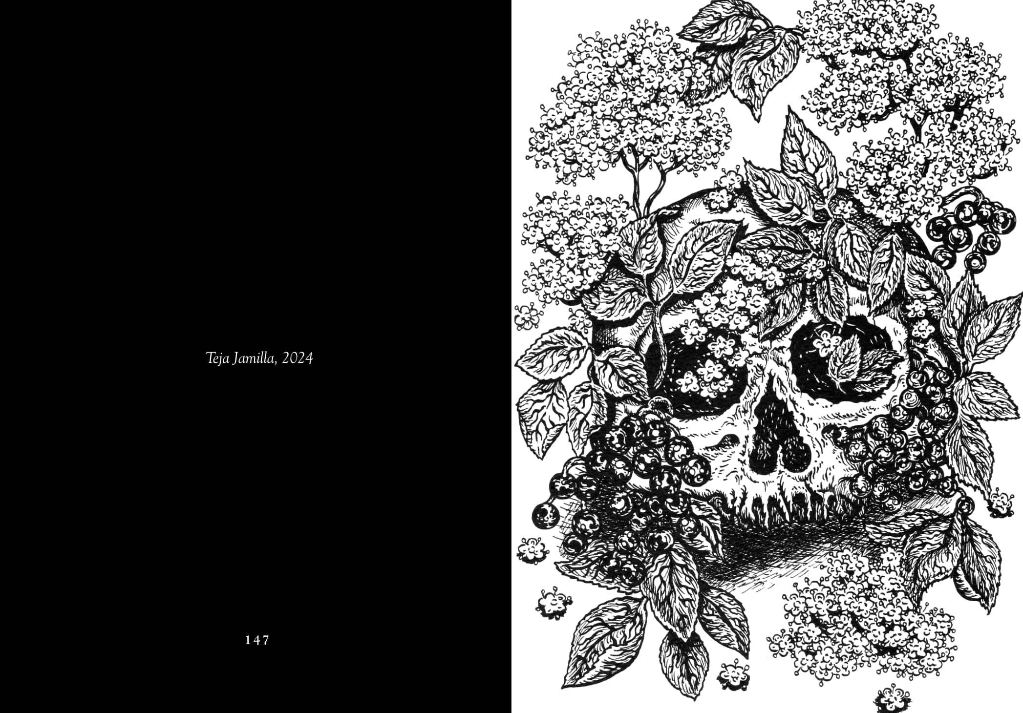 Lady Elder Tree: Northern Animism & Witchcraft 2nd Edition by Joseph S ...