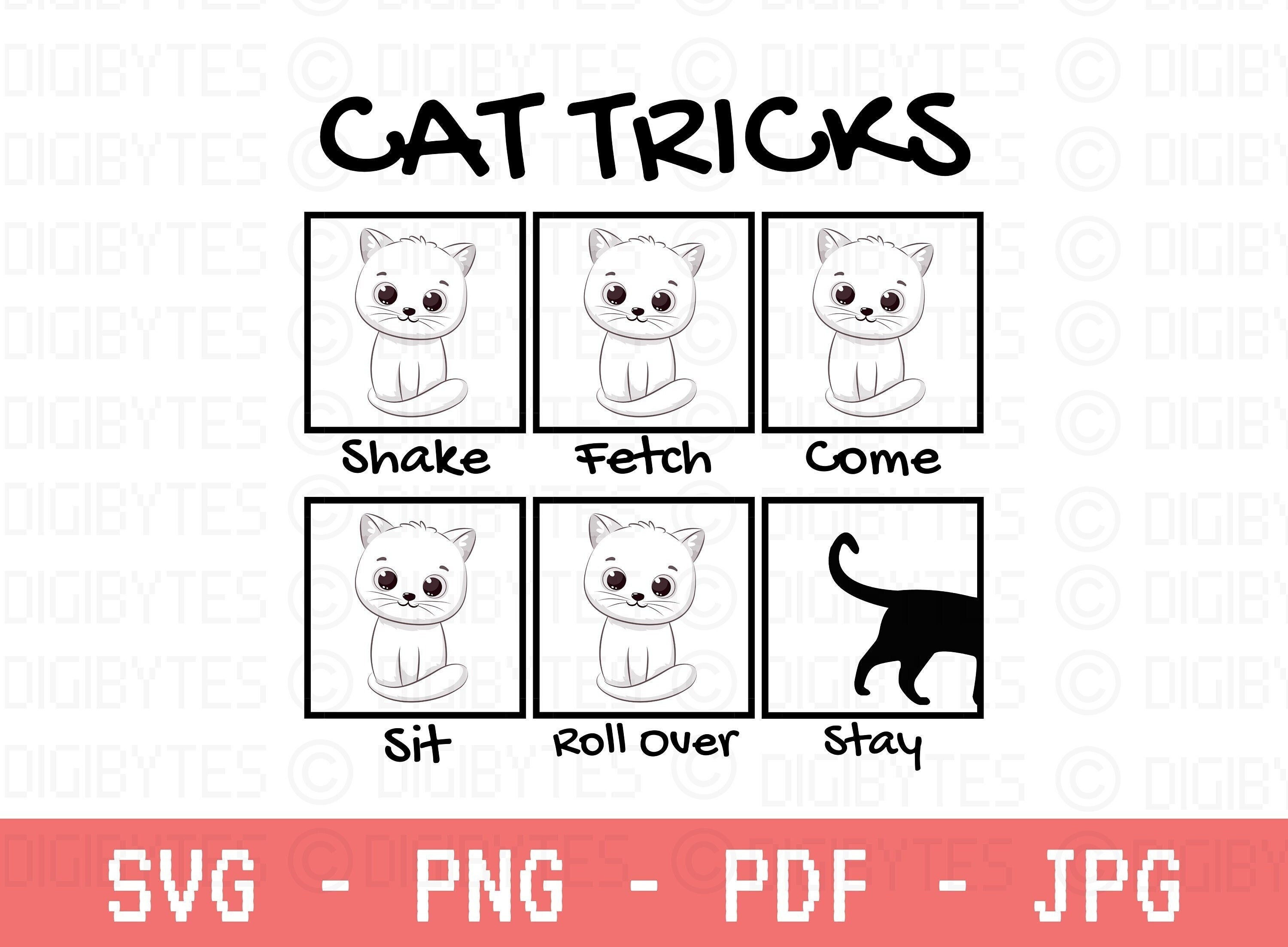 Funny Cat Tricks Svg for Cricut Shirt Designs Free Commercial Use Cat ...