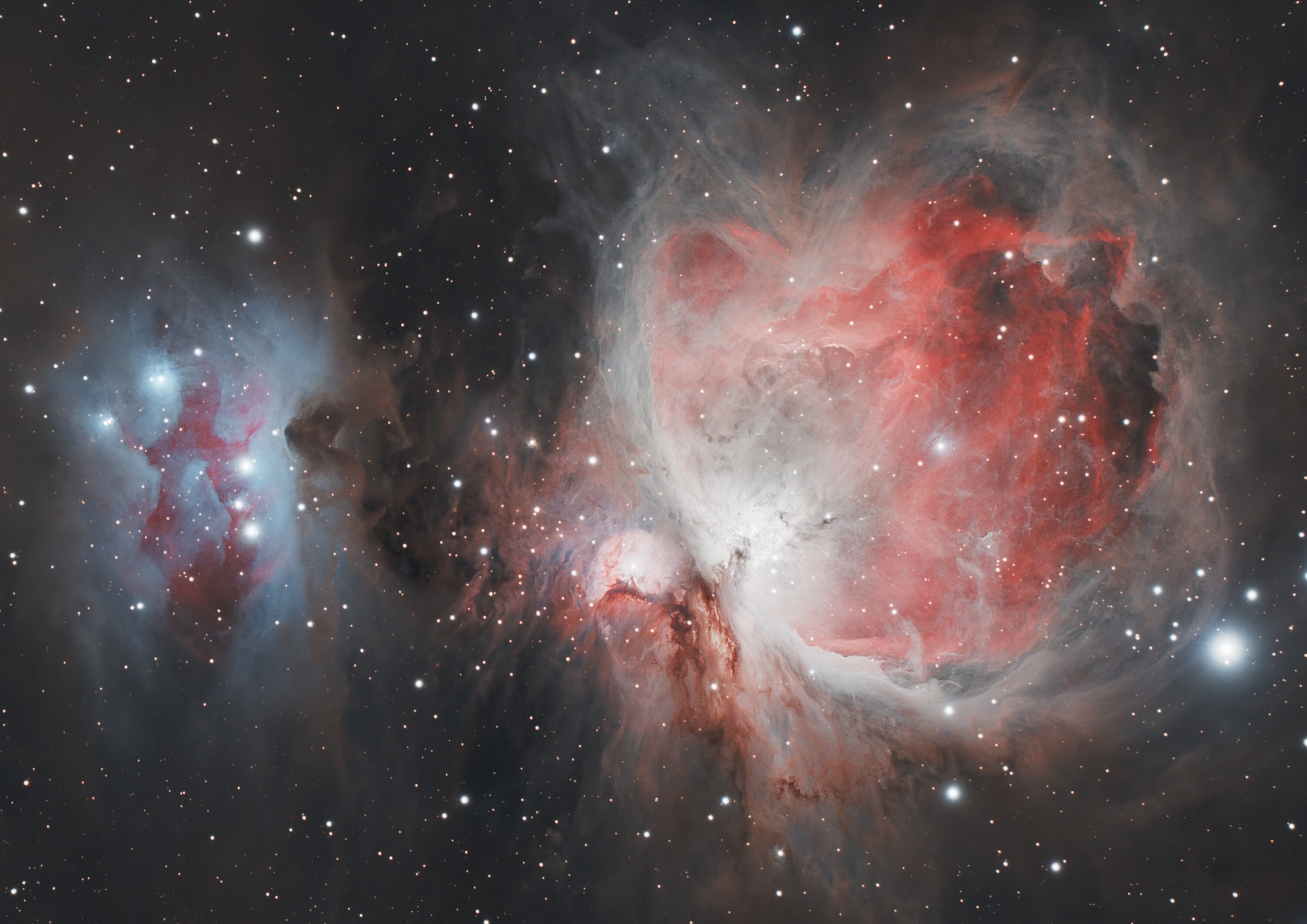 Astro A3 Poster - M42 the Great Orion Nebula - Etsy