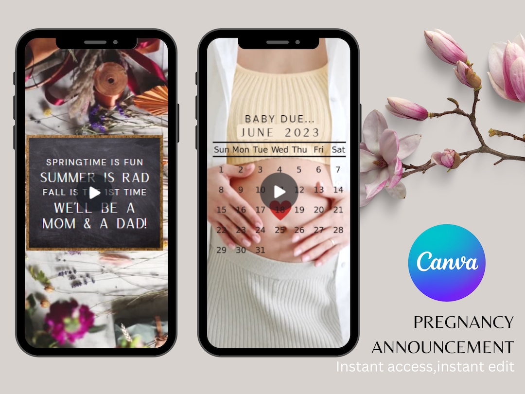 20 Instant Edit Video Pregnancy Announcement for Social Media Instagram ...