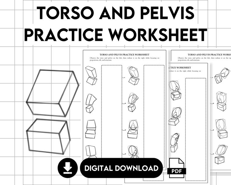 Printable Drawing Worksheet Torso and Pelvis, Male and Female Body ...