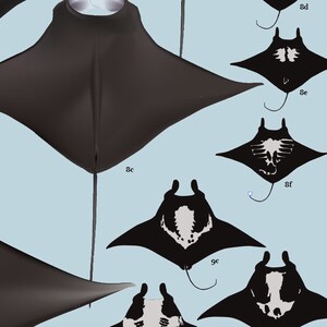 Manta and Devil Rays of the World Poster - Etsy Australia