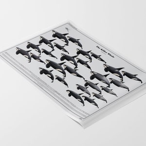 The Killer Whale Art Print Poster - Etsy