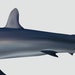 Pelagic Thresher Shark Art Print Poster - Etsy