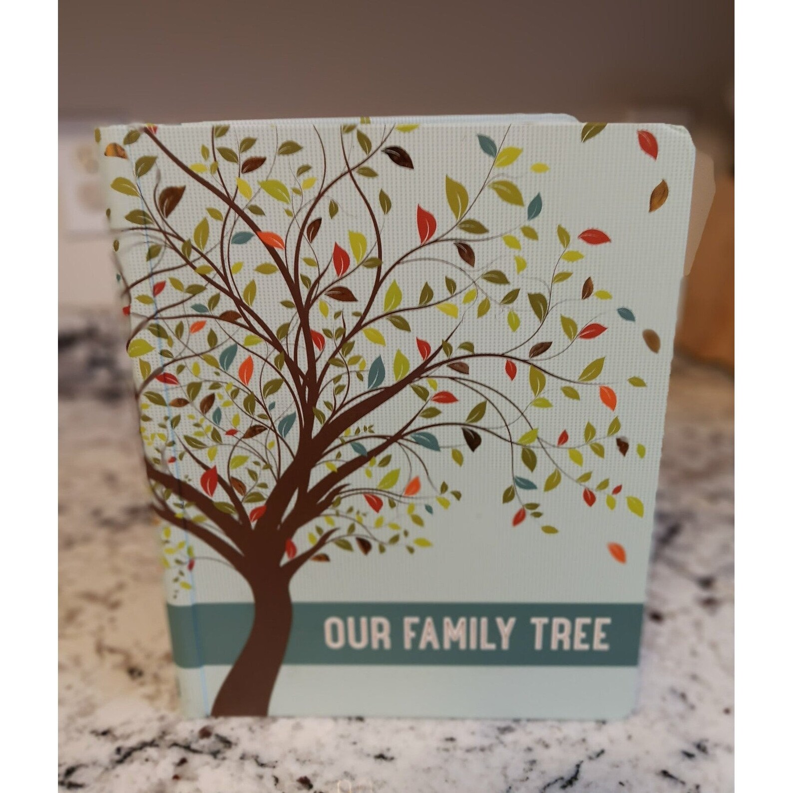 New Family Tree Workbook Family Charts Ancestry Genealogy Lineage ...