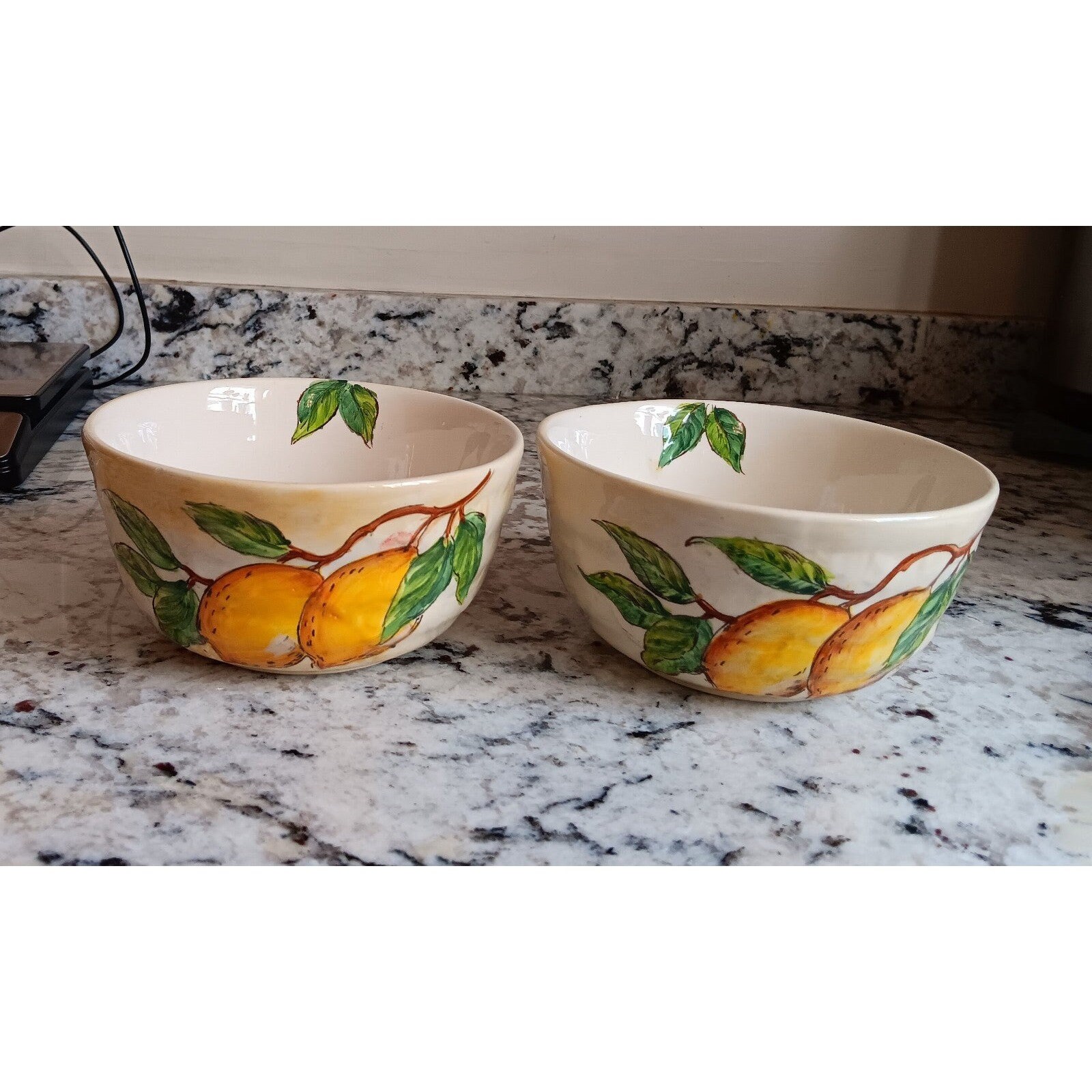Maxcera Rustic Bowls Lemons Cereal Soup Salad - Etsy