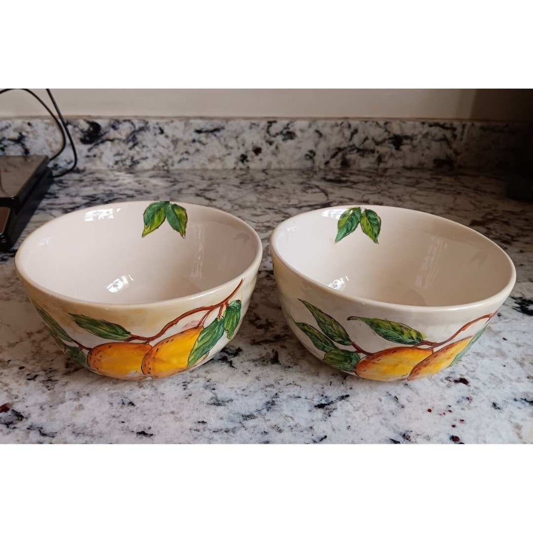 Maxcera Rustic Bowls Lemons Cereal Soup Salad - Etsy