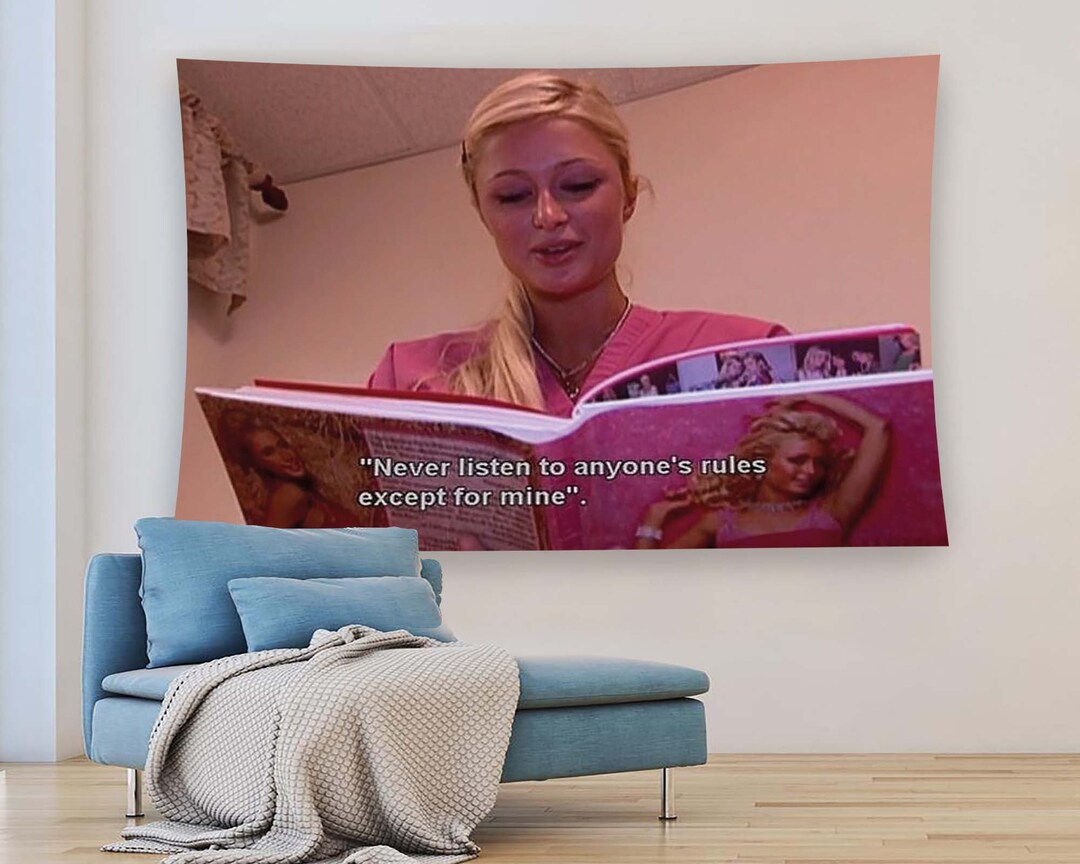 Funny Tapestry, Mood Tapestry, Memes Tapestry, Living Room Tapestry ...