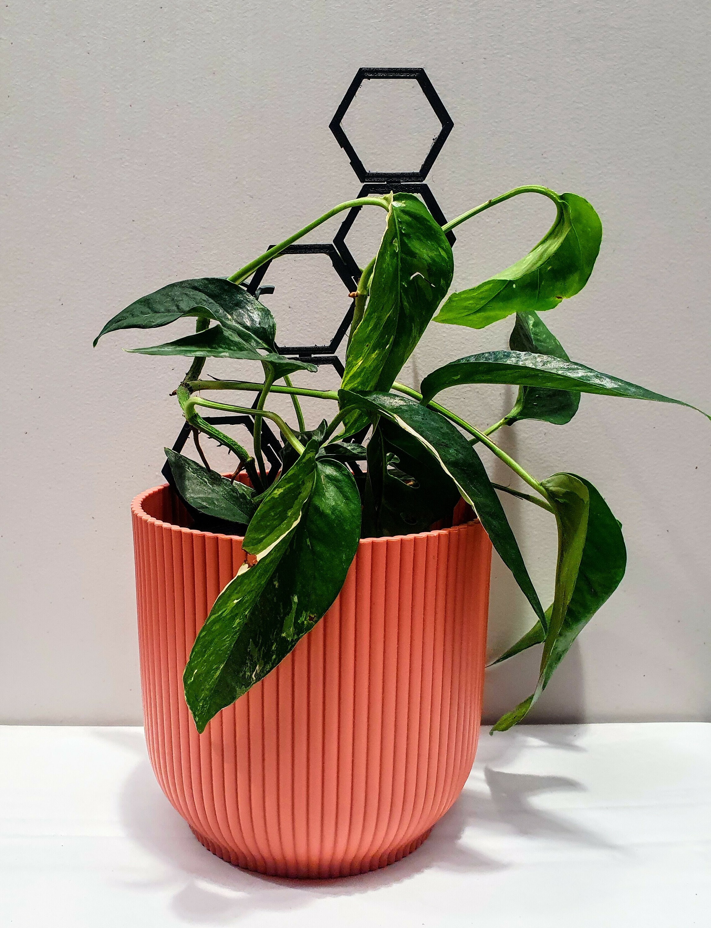 Snap Climber Modular Trellis - STL Download - Etsy