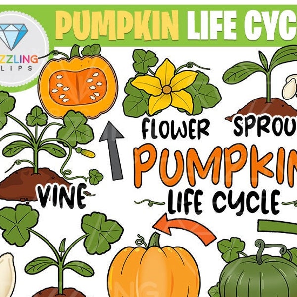 Honey Bee Life Cycle Clip Art Instant Download Educational Clipart ...