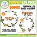 Pumpkin Life Cycle Clip Art - Instant Download - Educational Clipart ...