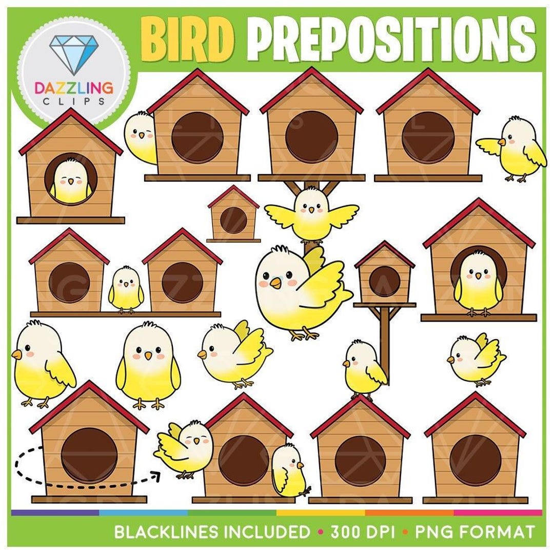 Bird Prepositions Clipart: Positional Words Illustrations (instant ...