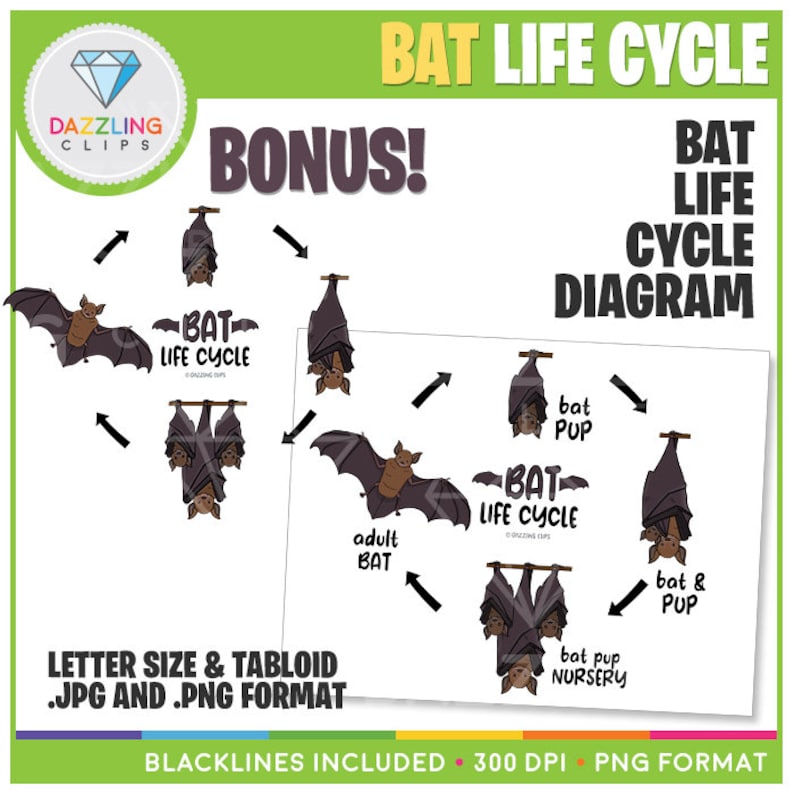 Bat Life Cycle Clip Art - Instant Download - Educational Clipart ...
