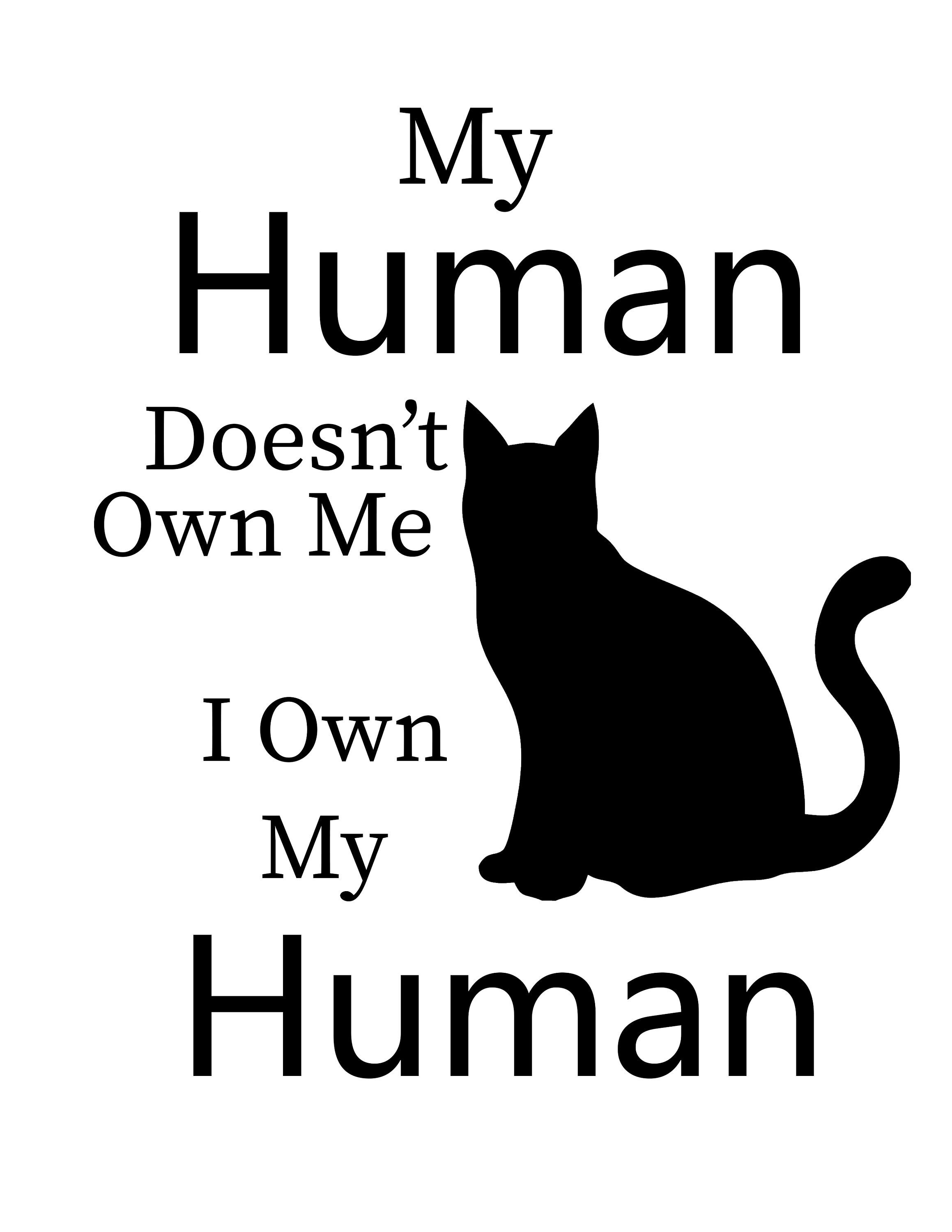 Printable Cat Poster - Etsy