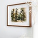 Spruce Trees Painting Green Forest Watercolor Art Print Woodland ...