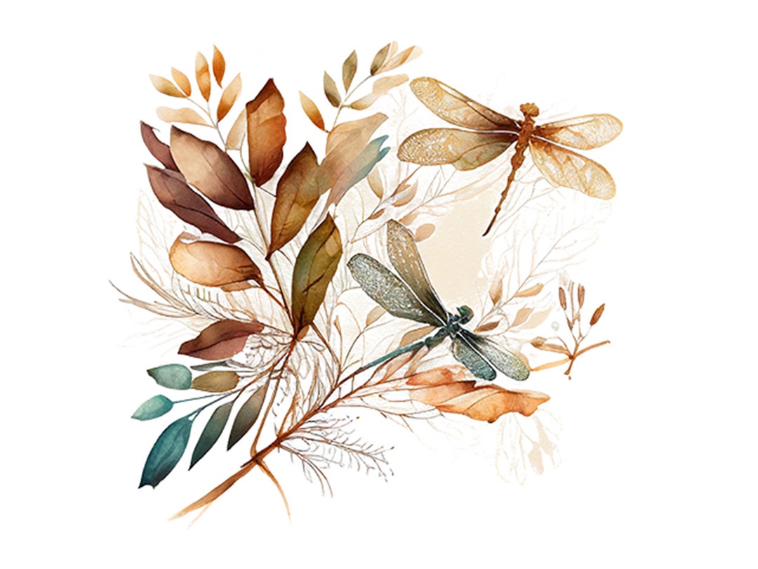 Dragonfly Poster Insect Watercolor Print From Original Painting Meadow ...