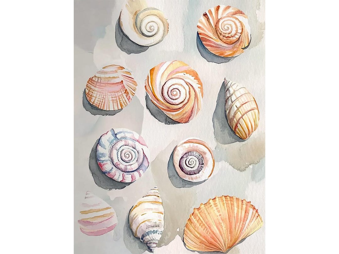 Shell Painting Pink Seashell Watercolor Art Print Beach Wall Decor ...