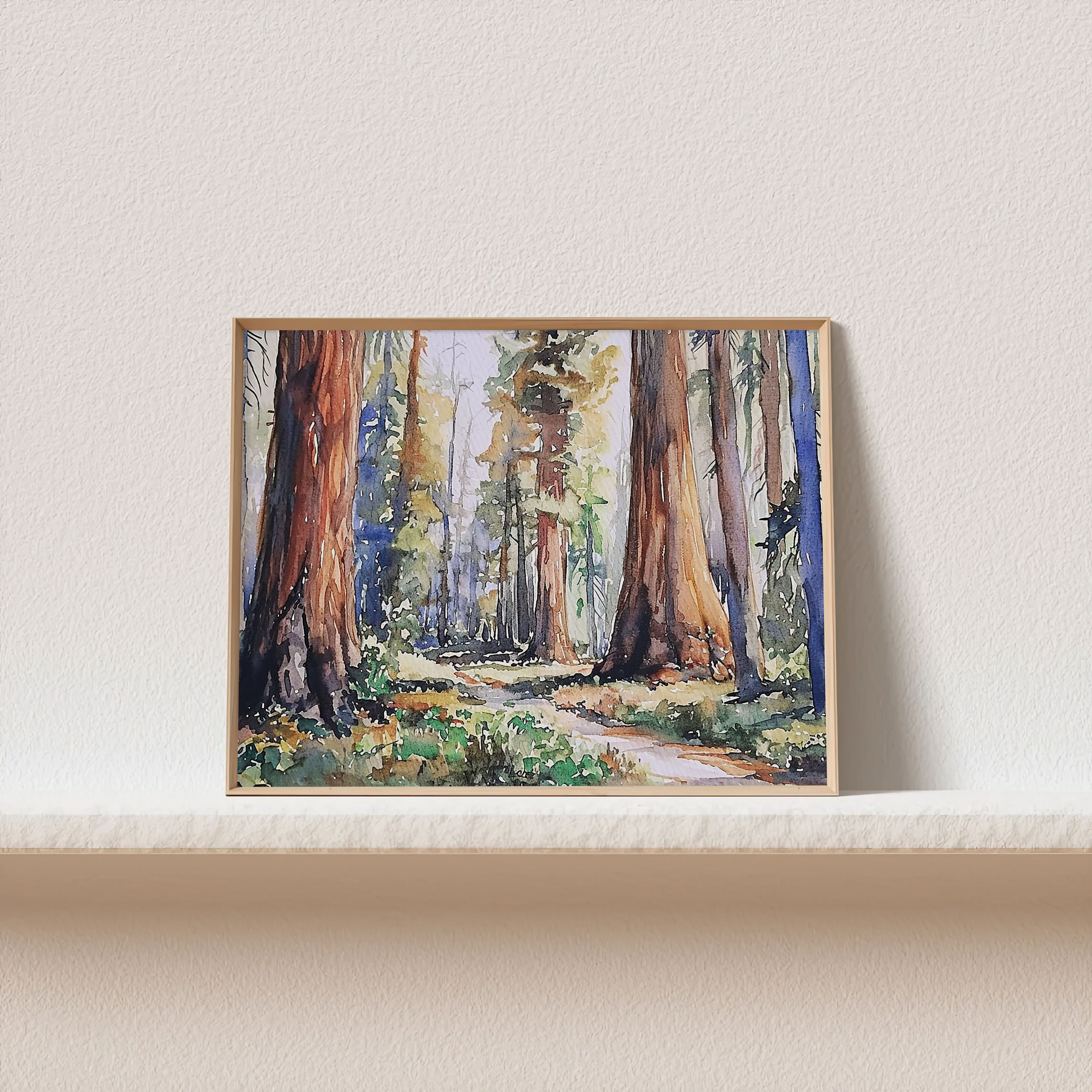 Sequoia National Park Print Evergreen Forest Wall Art Print California ...