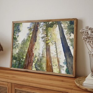 Humboldt Redwoods Painting National Park Watercolor Art Print ...