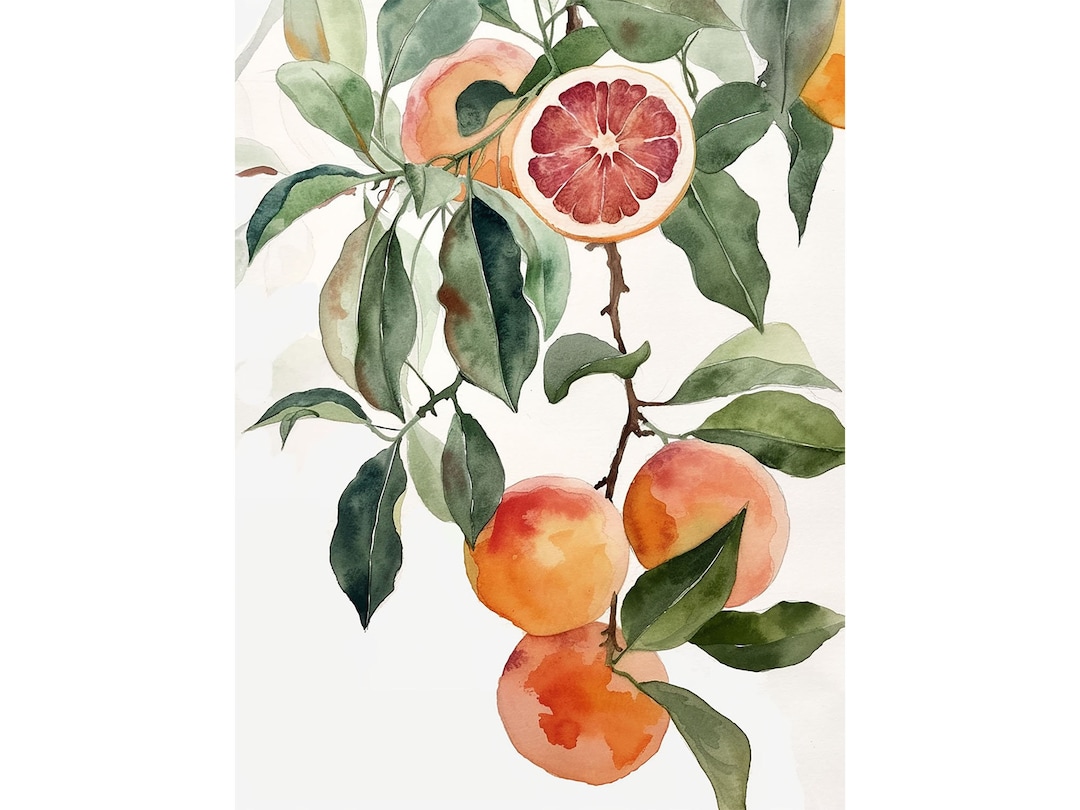 Grapefruit Art Print Grapefruit Tree Watercolor Painting Fruit Poster ...
