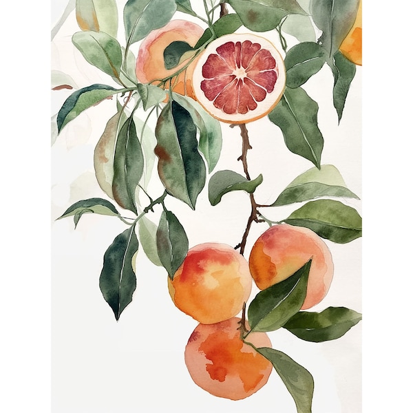 Grapefruit Painting - Etsy