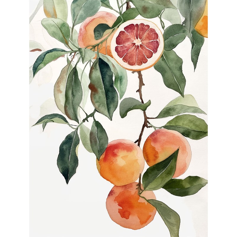 Grapefruit Painting - Etsy