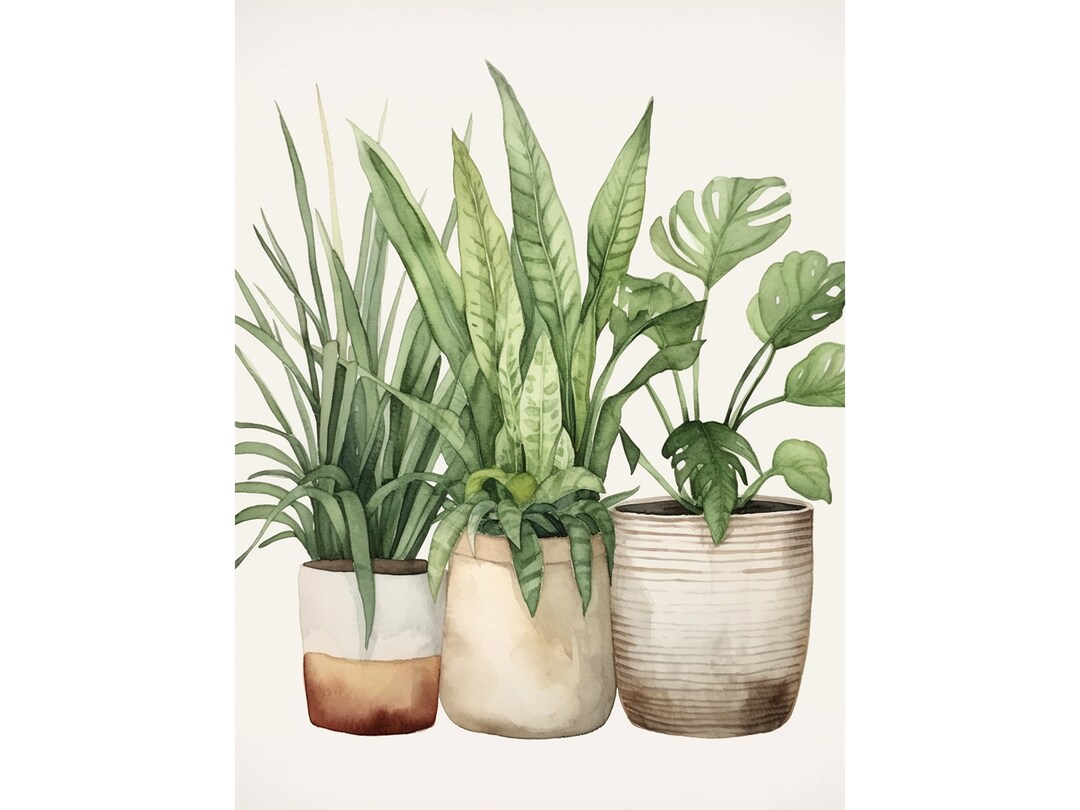 House Plant Print Botanical Watercolor Houseplant Painting Potted ...
