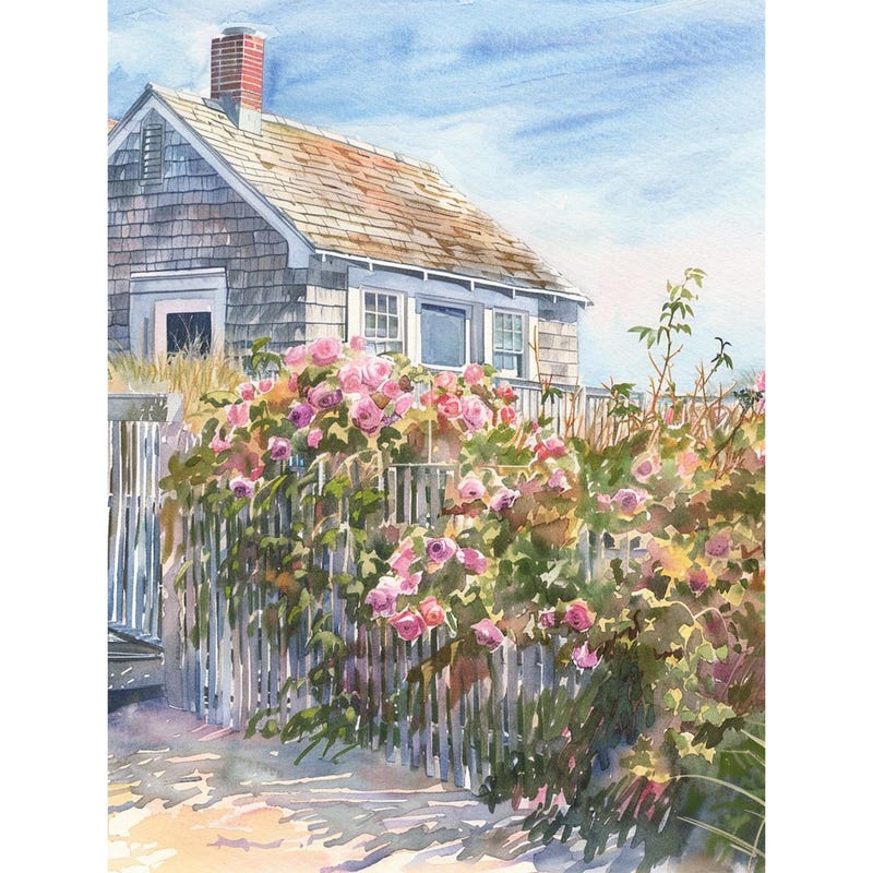 Cape Cod Art - Etsy