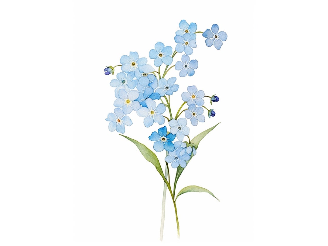 Forget-me-nots Painting Floral Art Print Flower Watercolor Art Blue ...