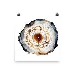 Oak Tree Ring Art Print Tree Ring Painting Watercolor Large Tree Ring ...