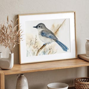 Catbird Painting Grey Catbird Watercolor Art Print Bird on Branch Art ...