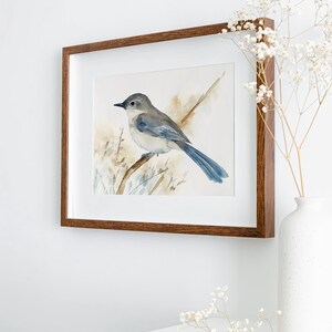 Catbird Painting Grey Catbird Watercolor Art Print Bird on Branch Art ...