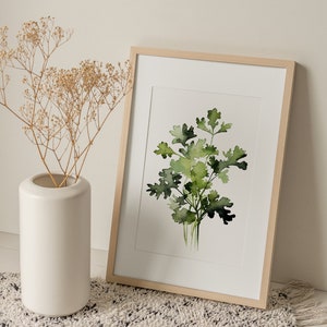 Parsley Watercolor Painting Herbs Art Print Minimalist Kitchen Wall Art ...