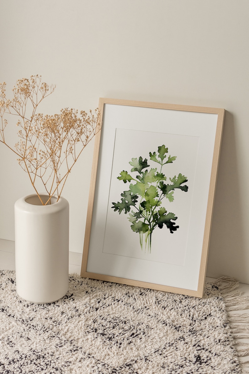 Parsley Watercolor Painting Herbs Art Print Minimalist Kitchen - Etsy