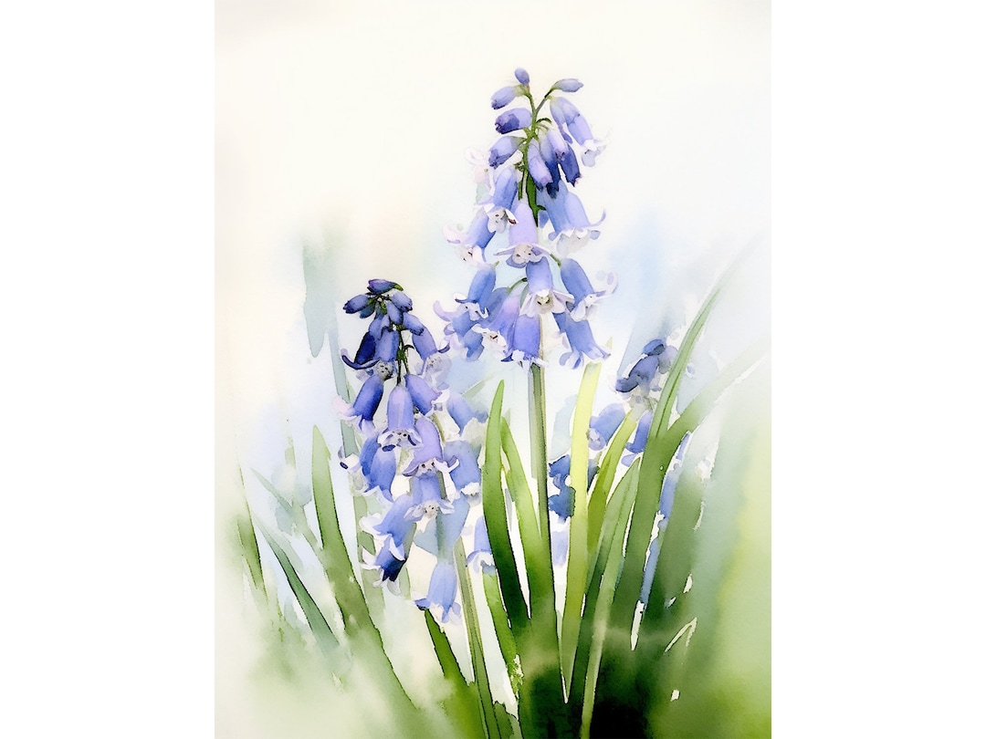 Bluebell Painting Flowers Watercolor Print Bluebells Wall Art Botanical ...