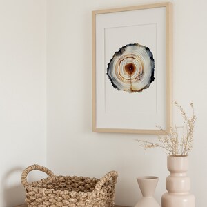 Oak Tree Ring Art Print Tree Ring Painting Watercolor Large Tree Ring ...